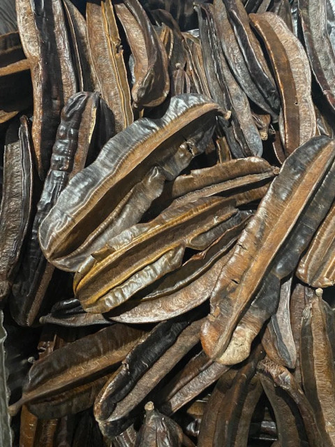 Aridan Fruits – Favchell Spices