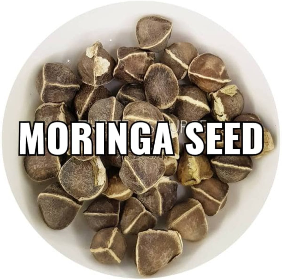 Moringa Seeds – Favchell Spices